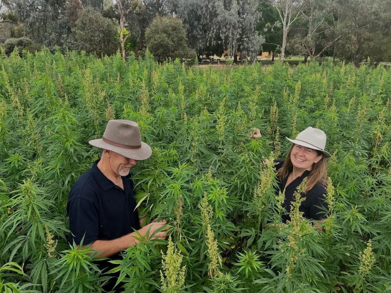 Autumn 2025 - Industrial Hemp Association of South Australia